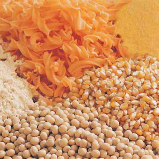 Current Facilities - Redi port